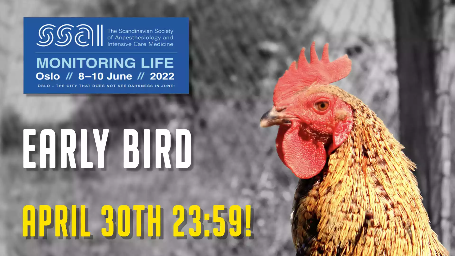 SSAI early bird registration before 30th April - SSAI